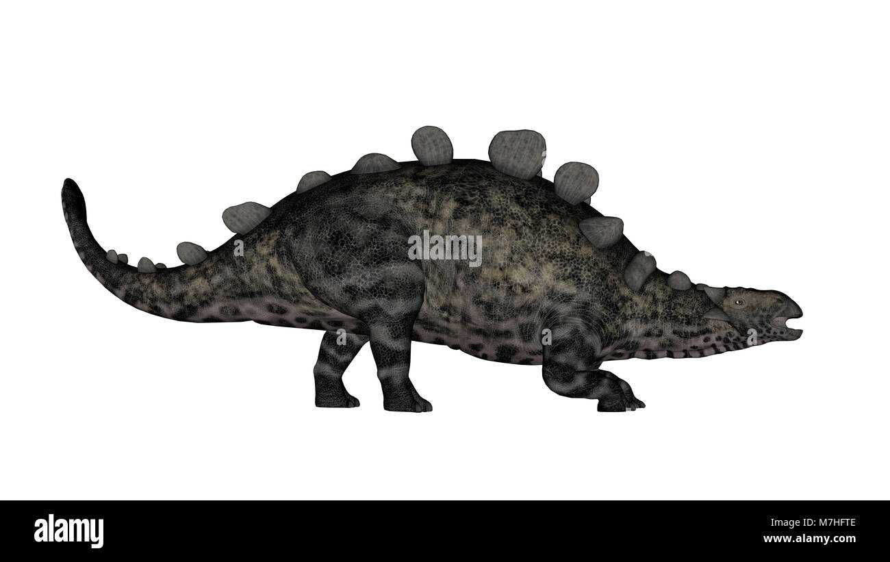 Évolution des dinosaures Banque d'images détourées - Alamy