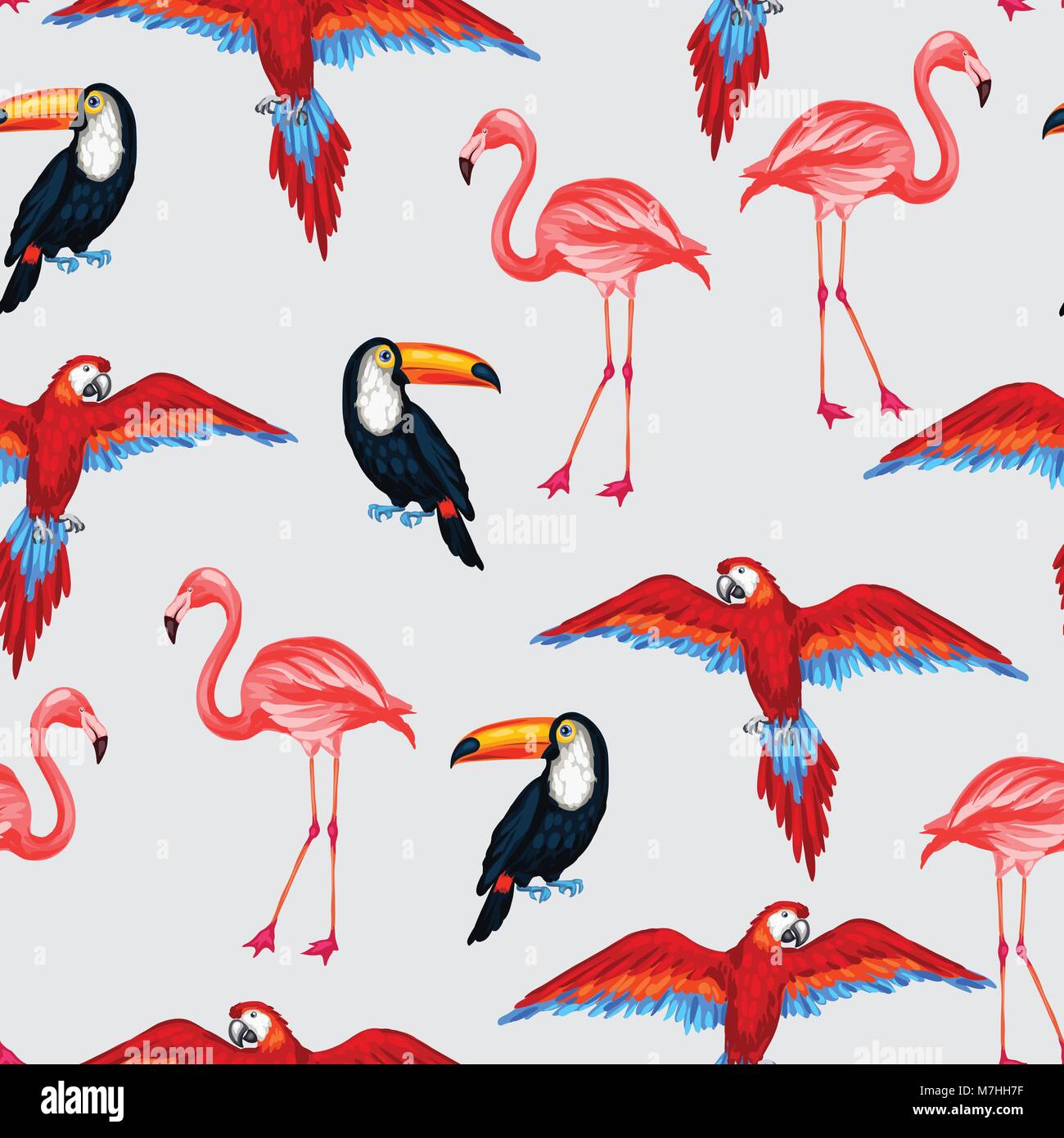 Oiseaux Tropicaux Banque D Images Vectorielles Alamy