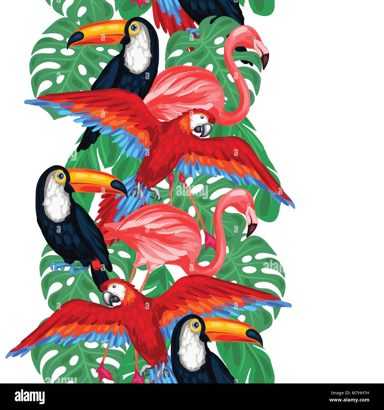 Oiseaux des tropiques Banque d'images vectorielles - Alamy