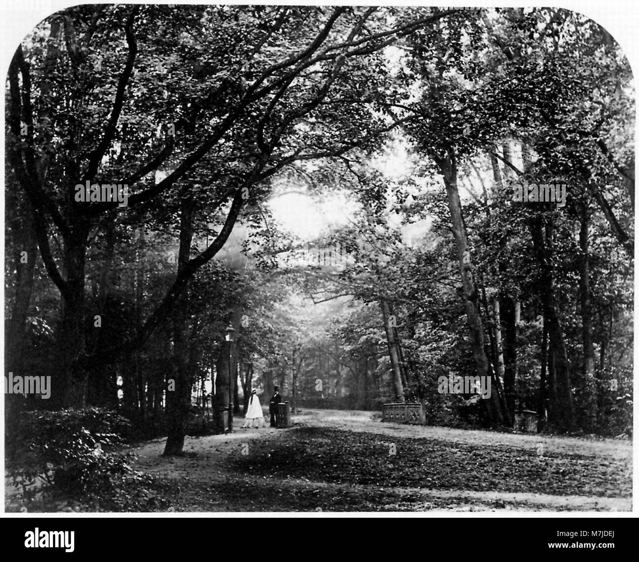 Hermann wilhelm vogel Banque de photographies et d’images à haute ...