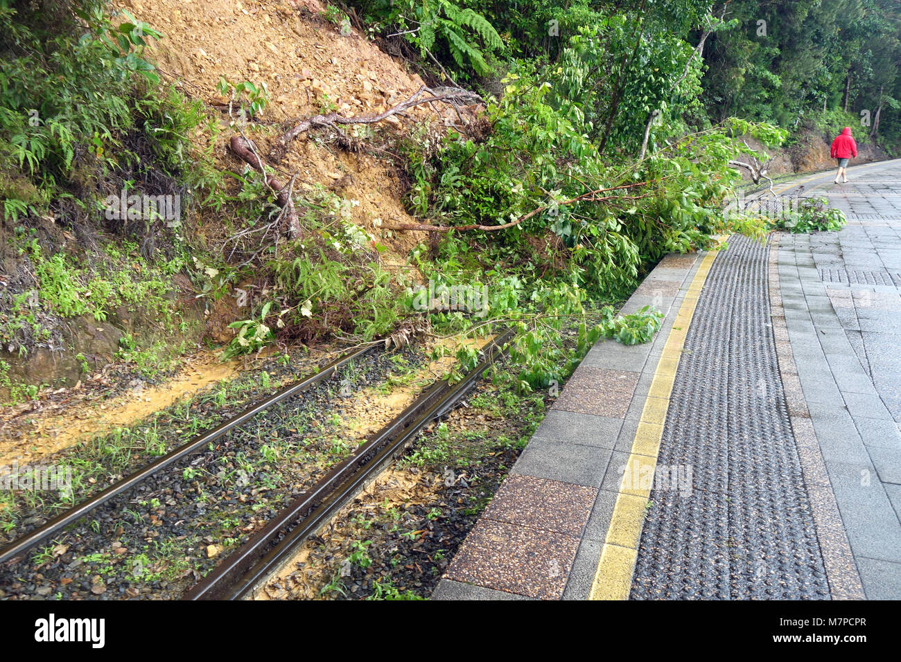 Barron falls station Banque de photographies et d’images à haute ...