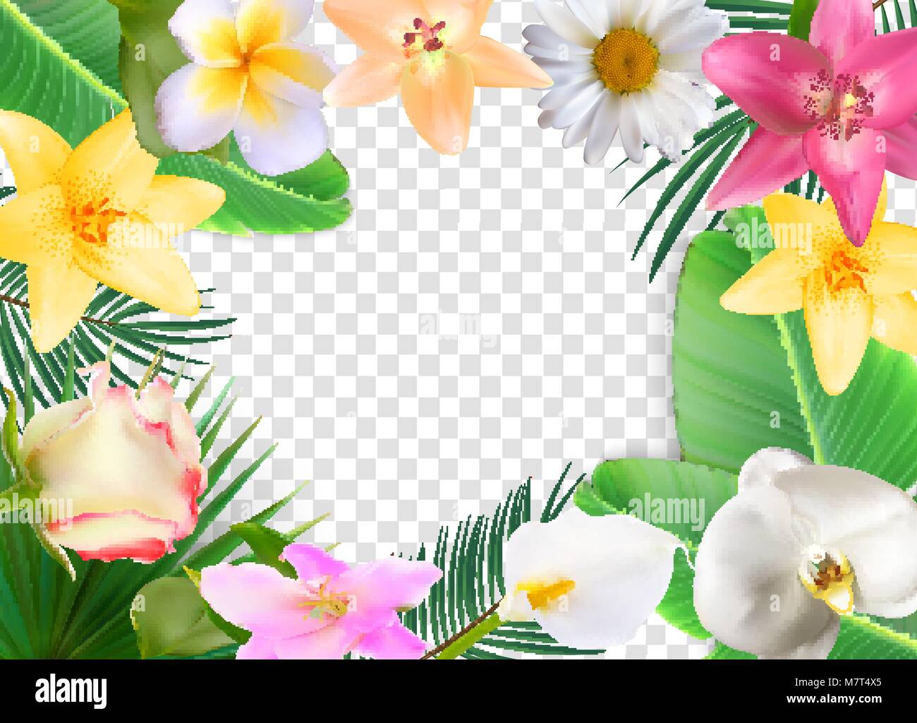 Naturel d'été Floral Frame sur fond transparent Vector Illustration ...