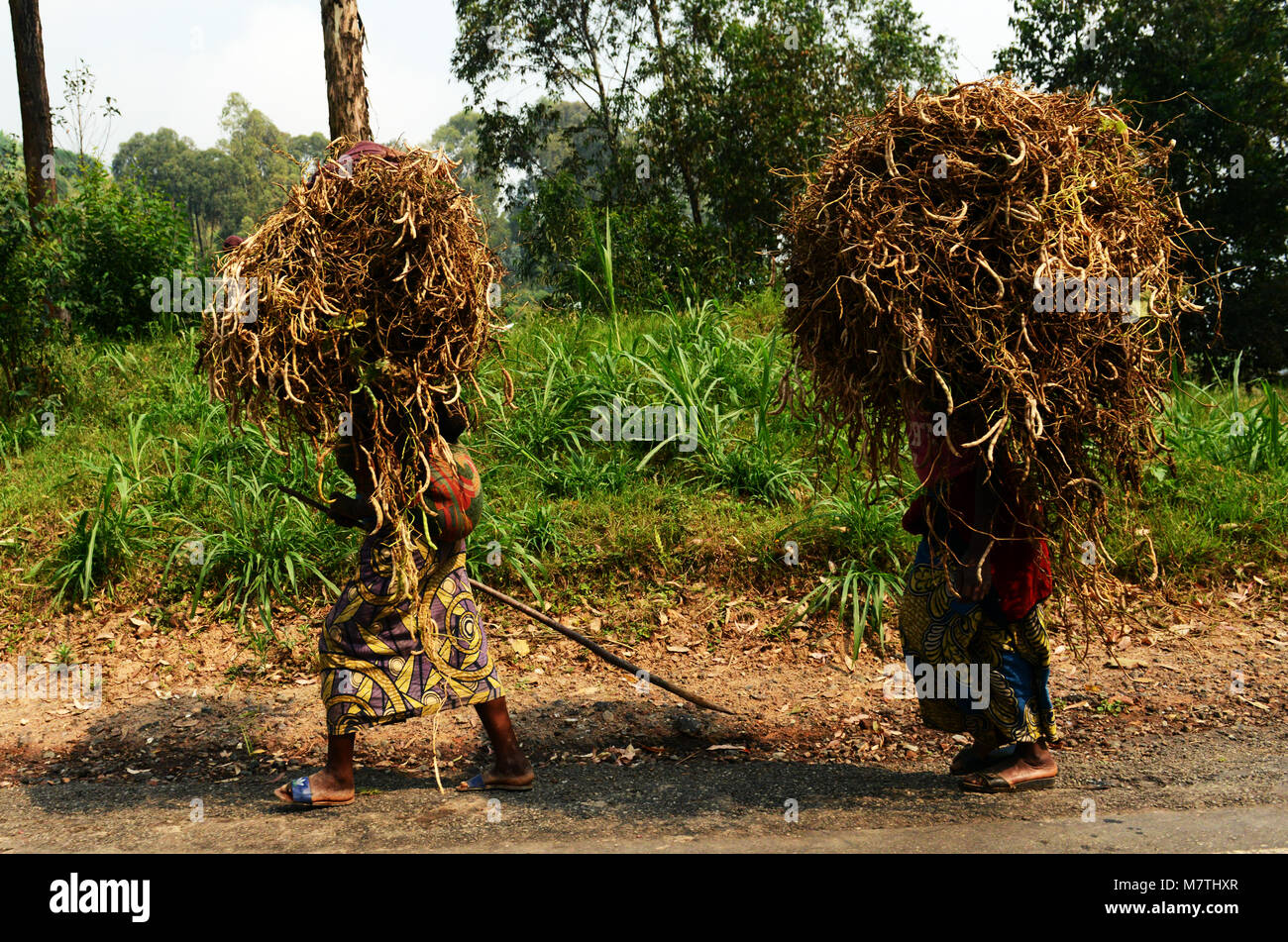 Rwanda village Banque de photographies et d’images à haute résolution ...