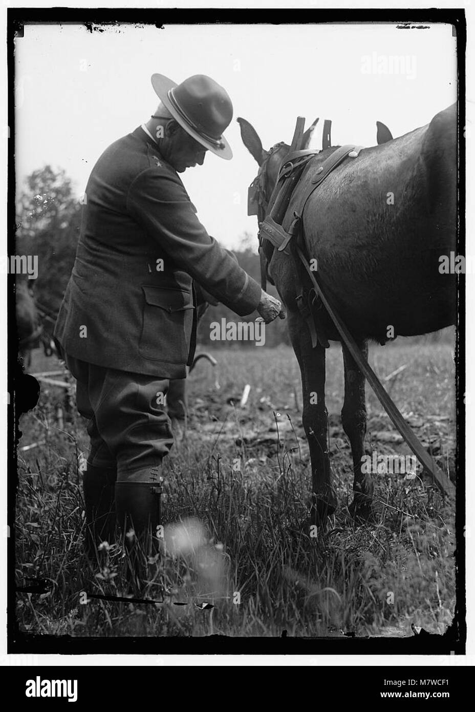 Une photographie du major général Hugh L. Scott, chef d'état-major de l ...