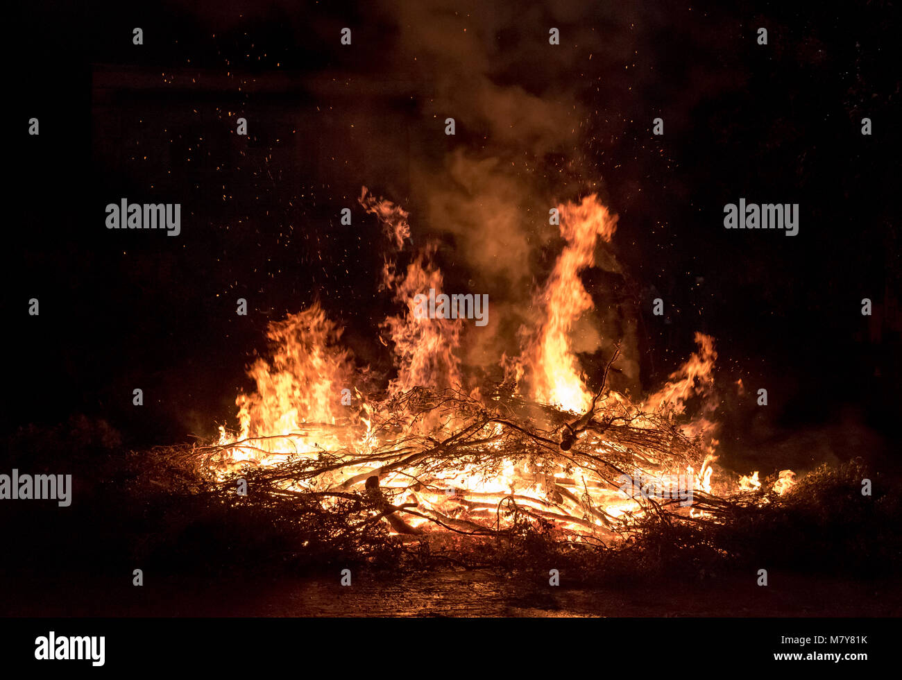 Branches en feu Banque de photographies et d’images à haute résolution ...