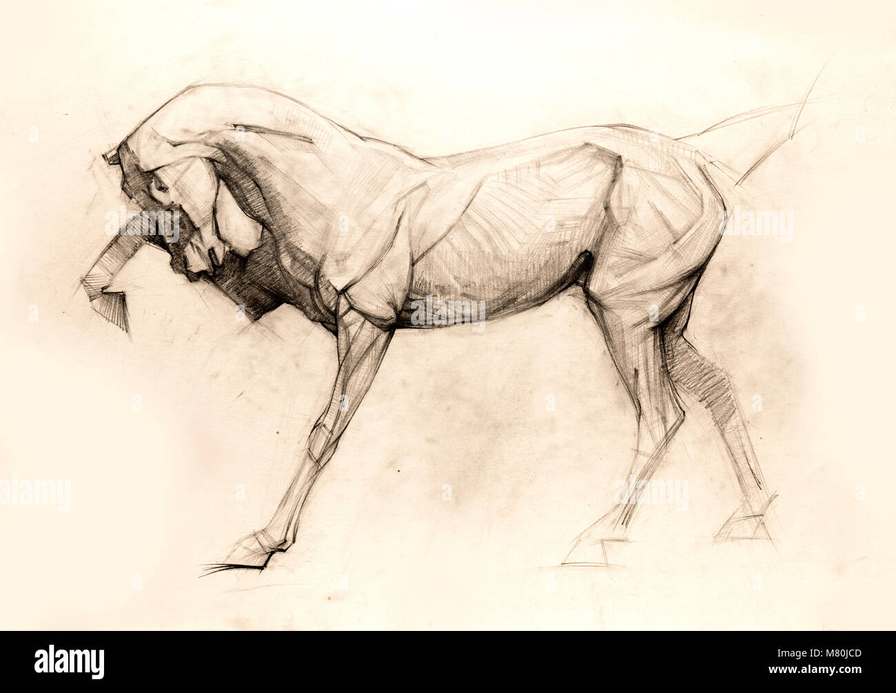 Dessin au crayon, dessin au crayon, croquis croquis Photo Stock - Alamy