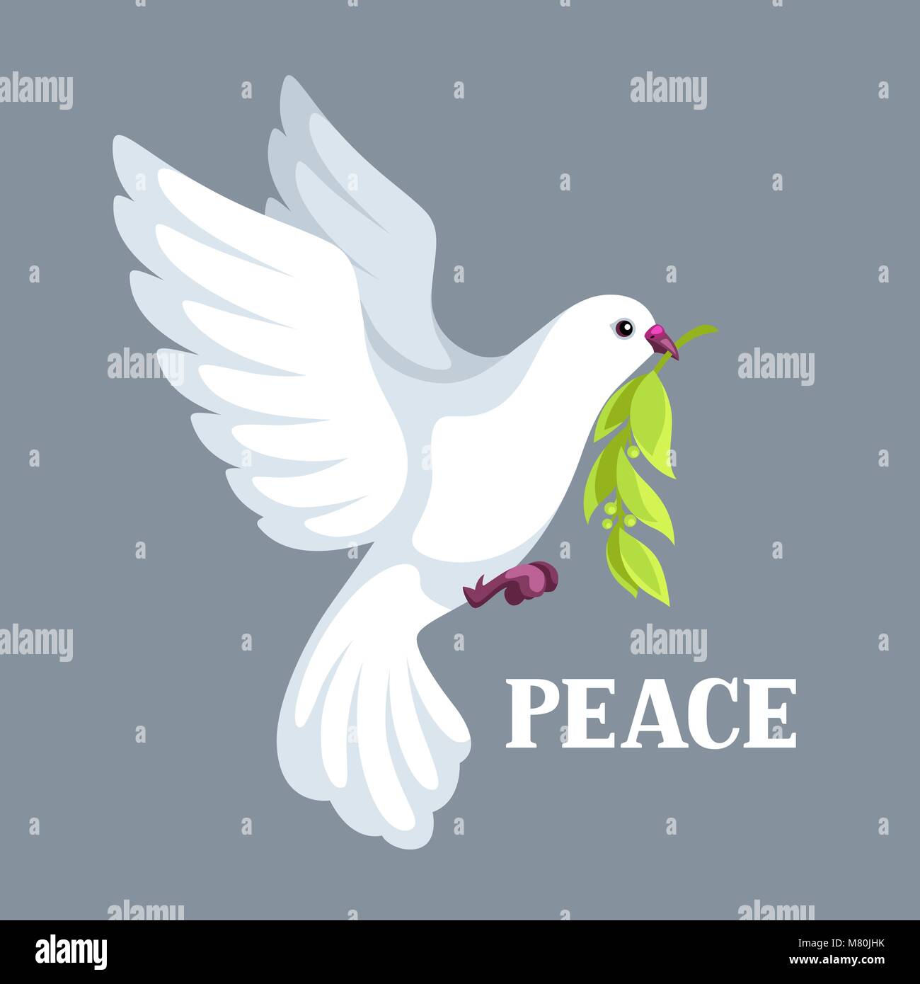 Colombe blanche de la paix porte olive branch Image Vectorielle Stock ...