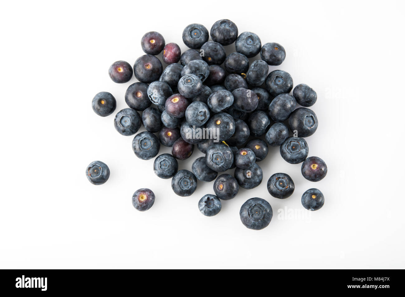 Fruits bleuets biologiques frais bleu Banque de photographies et d ...