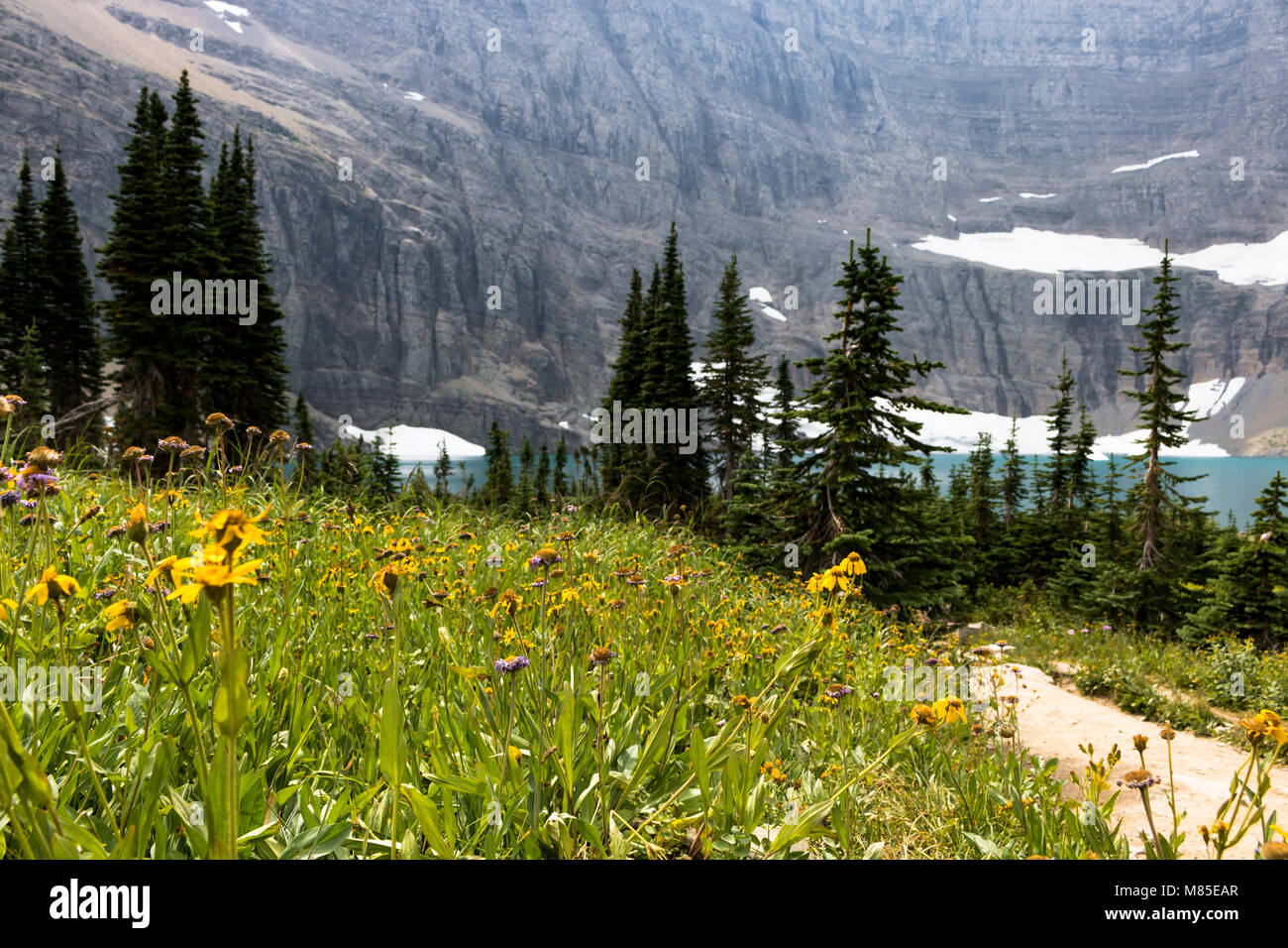 Lac de montagne avec des fleurs sauvages Banque de photographies et d ...