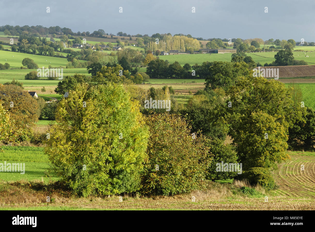 Paysage de campagne d'automne Banque de photographies et d’images à ...