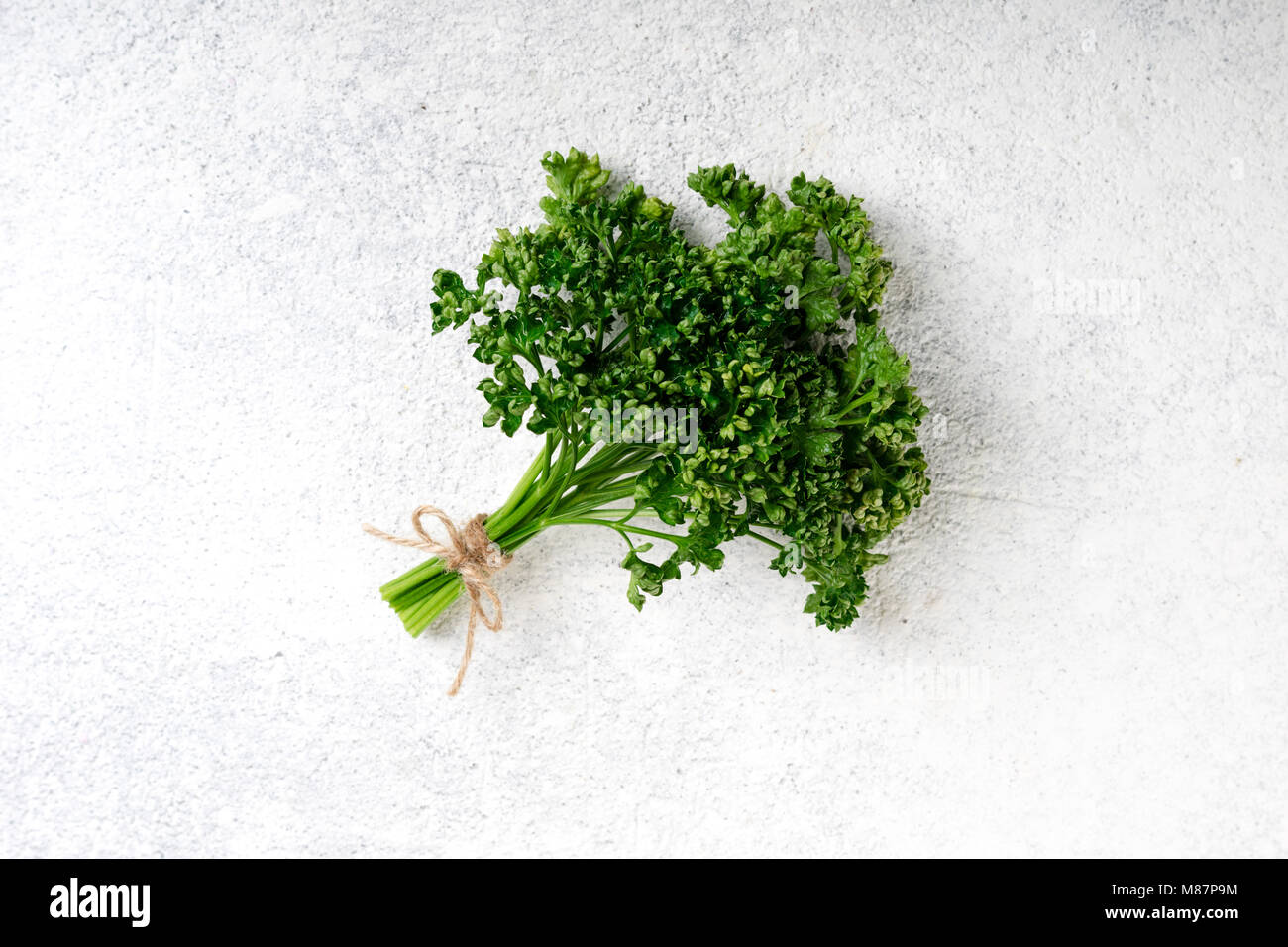 Bouquet de persil sur le béton blanc arrière-plan. De persil herb ...