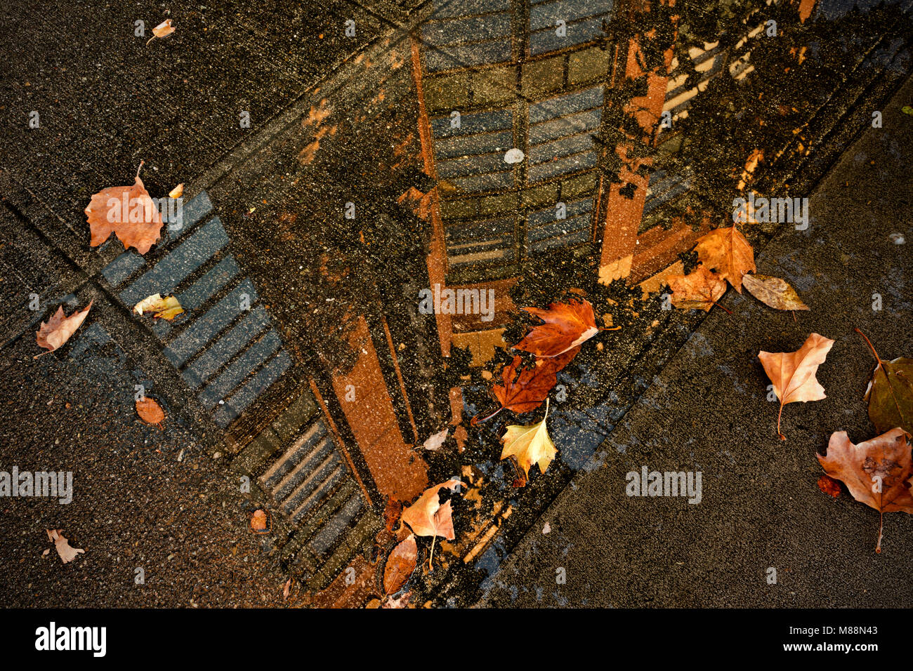 Sodo district Banque de photographies et d’images à haute résolution ...