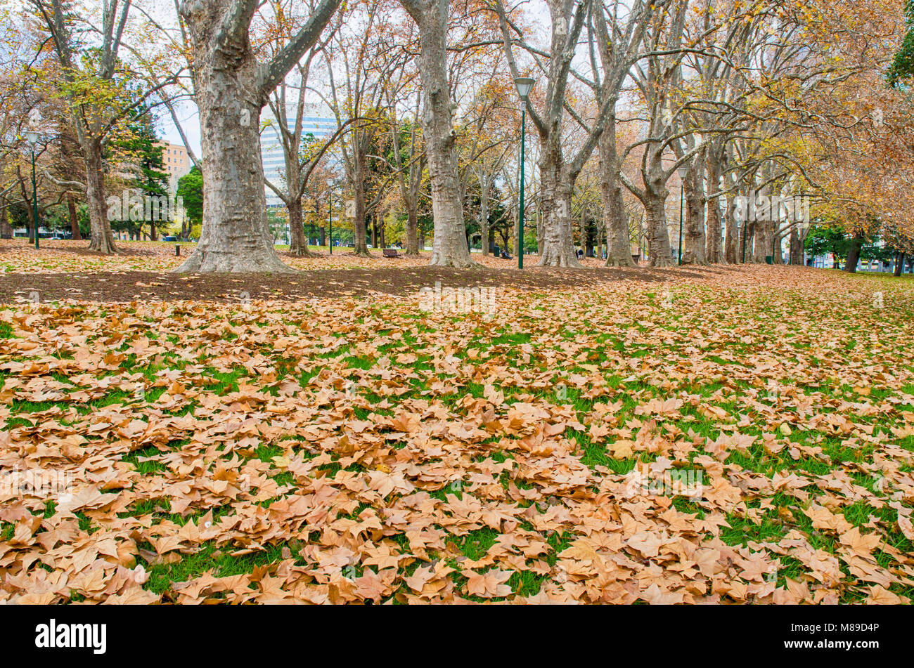 Saison automne Banque de photographies et d’images à haute résolution ...