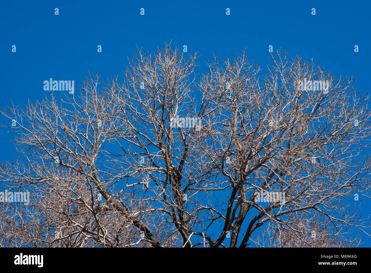 Saison hiver Banque de photographies et d’images à haute résolution - Alamy