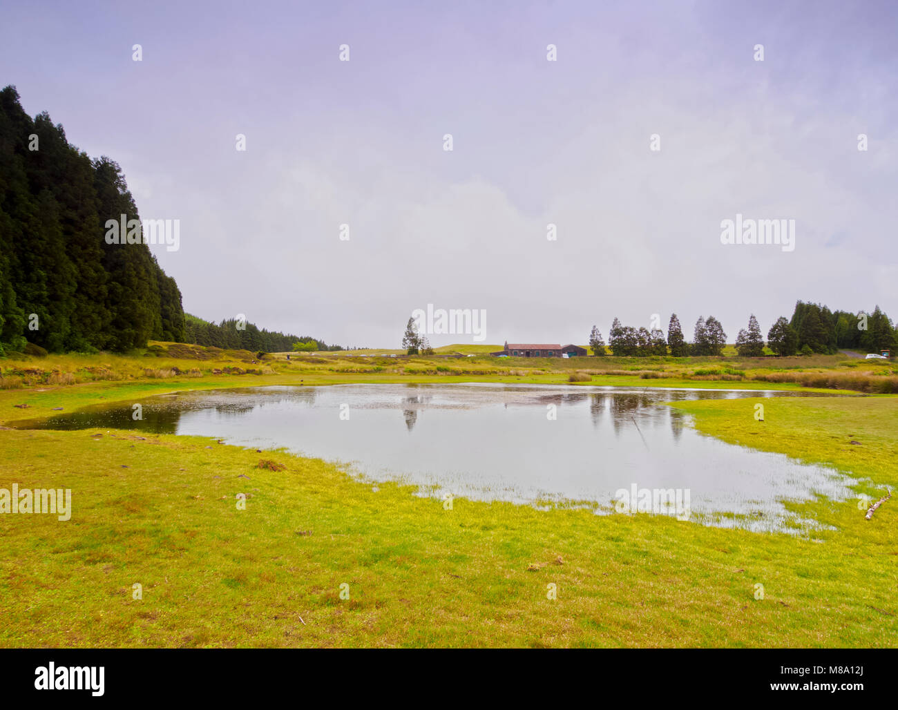 île de terceira açores Banque de photographies et d’images à haute ...