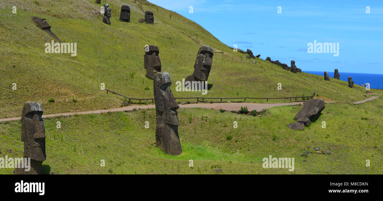 Moais dans les pentes du volcan Rano Raraku, île de Pâques (Rapa nui ...