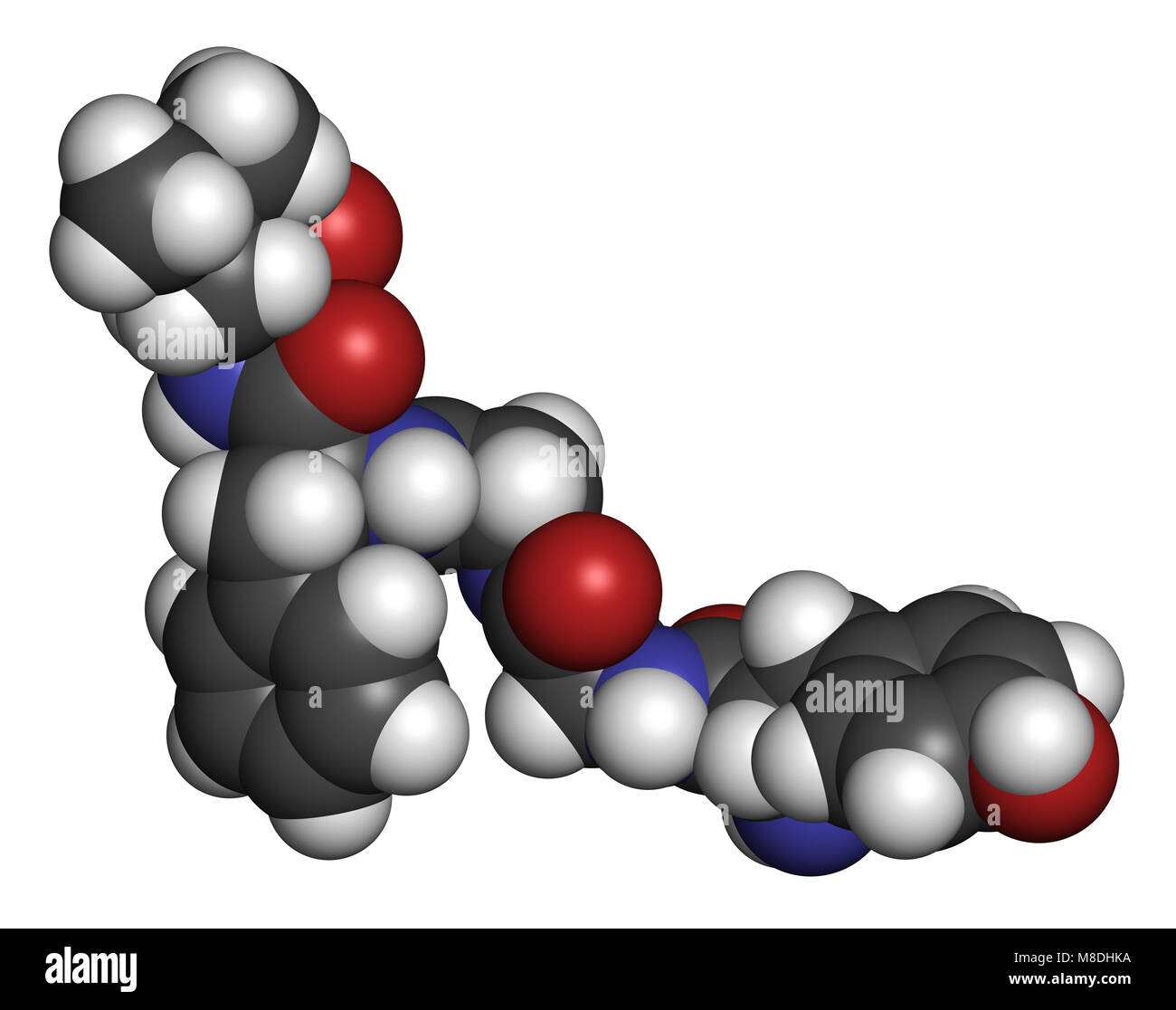 Met enkephalin Banque de photographies et d’images à haute résolution ...