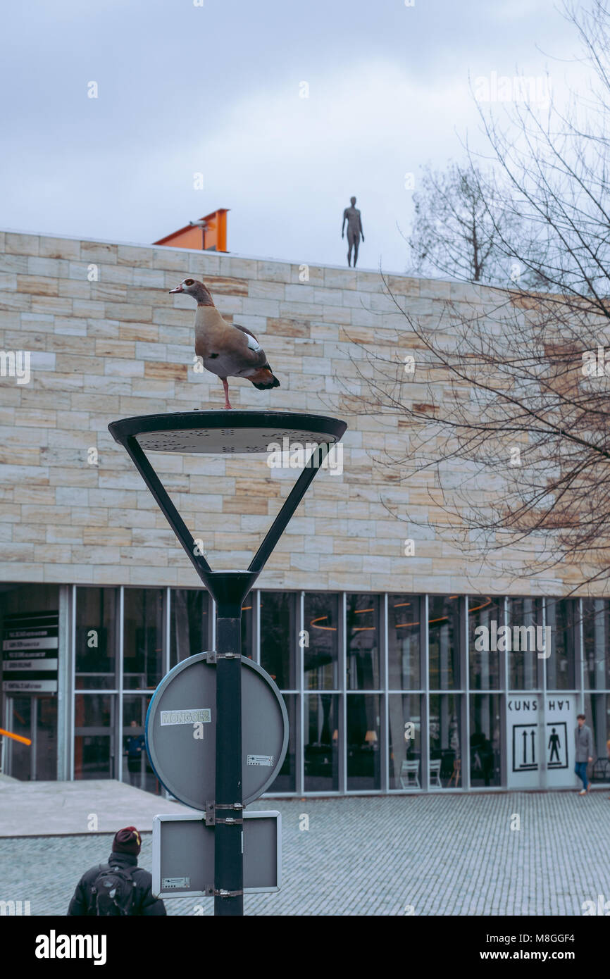 Le Kunsthal de Rotterdam, Pays-Bas. Conçu par OMA (Rem Koolhaas) 1992 ...