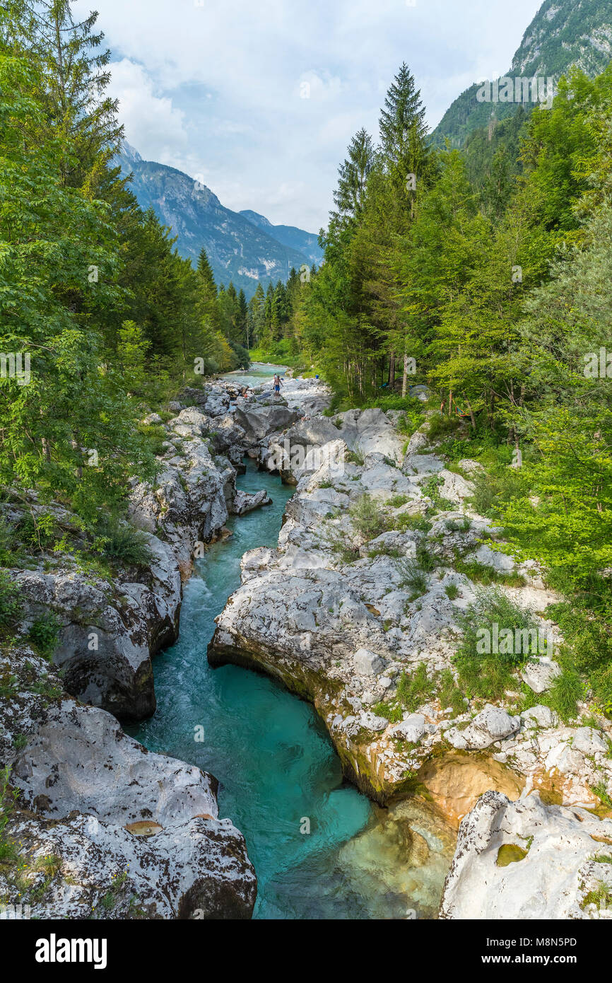 La rivière Soča qui coule à travers une étroite vallée de la Soča ...