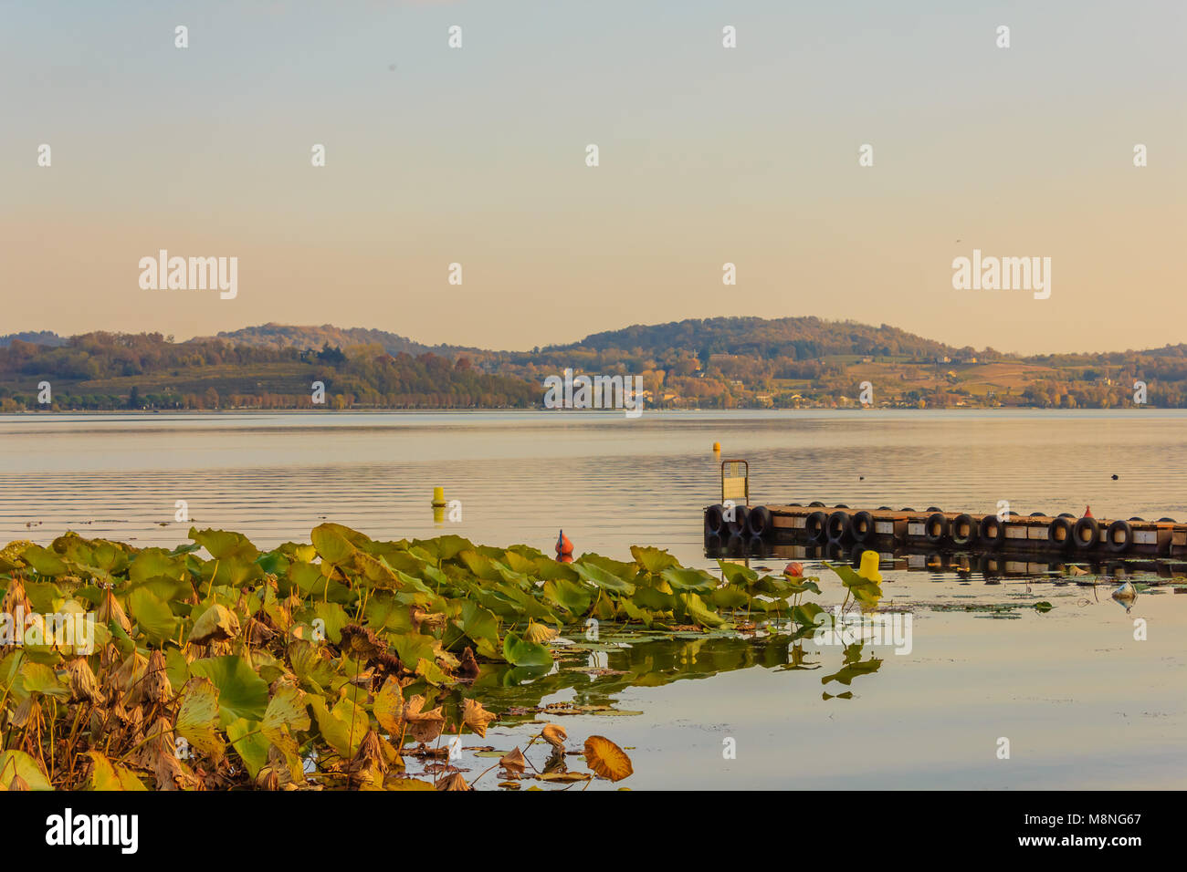 Lago di viverone Banque de photographies et d’images à haute résolution ...