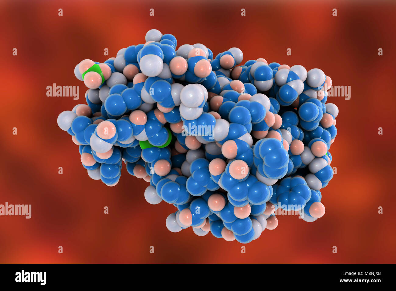 Le modèle moléculaire de la métalloprotéase de venin de serpent est un ...