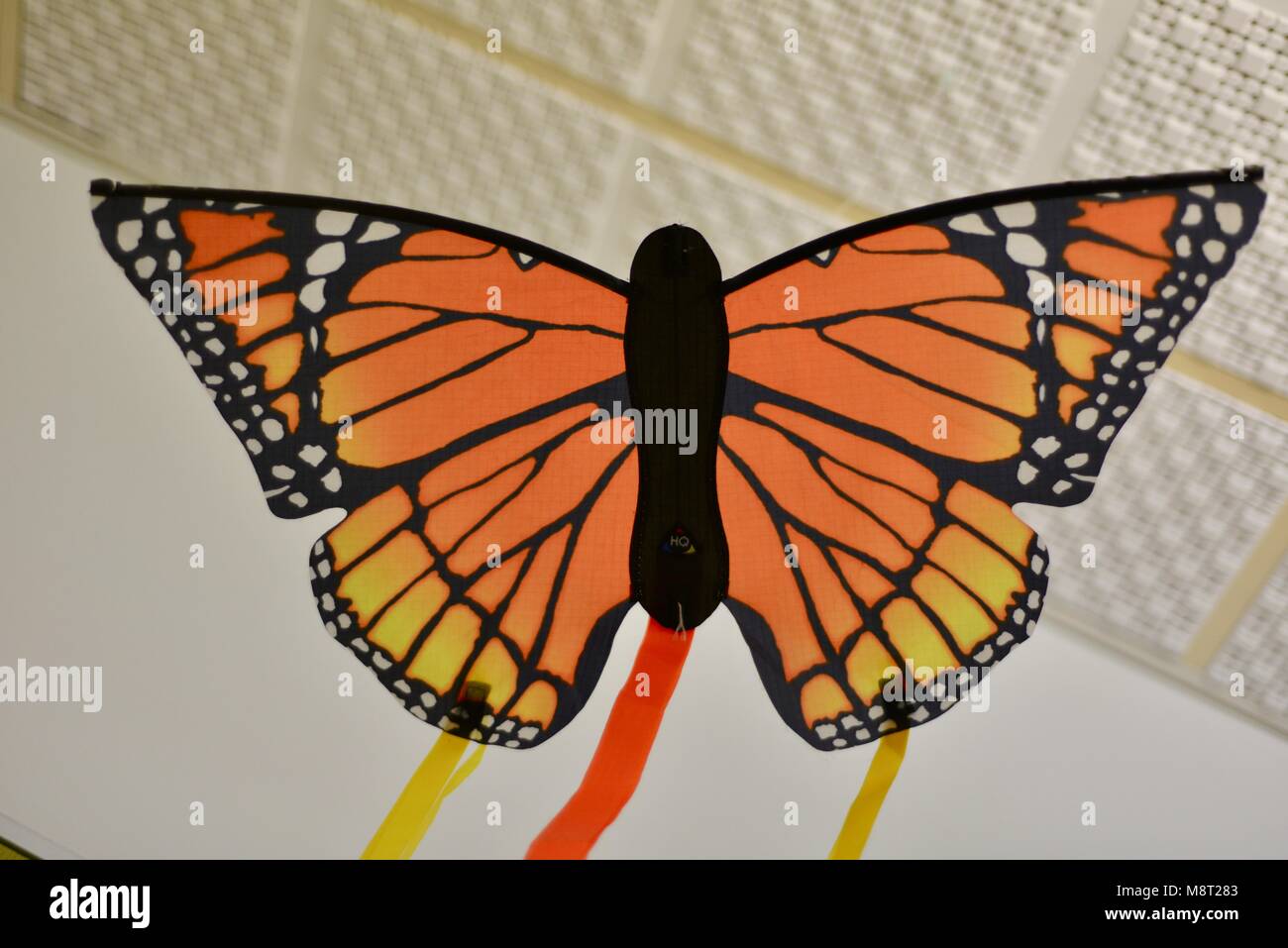 Cerf-volant papillon sur le toit de l'aire de section à une ...