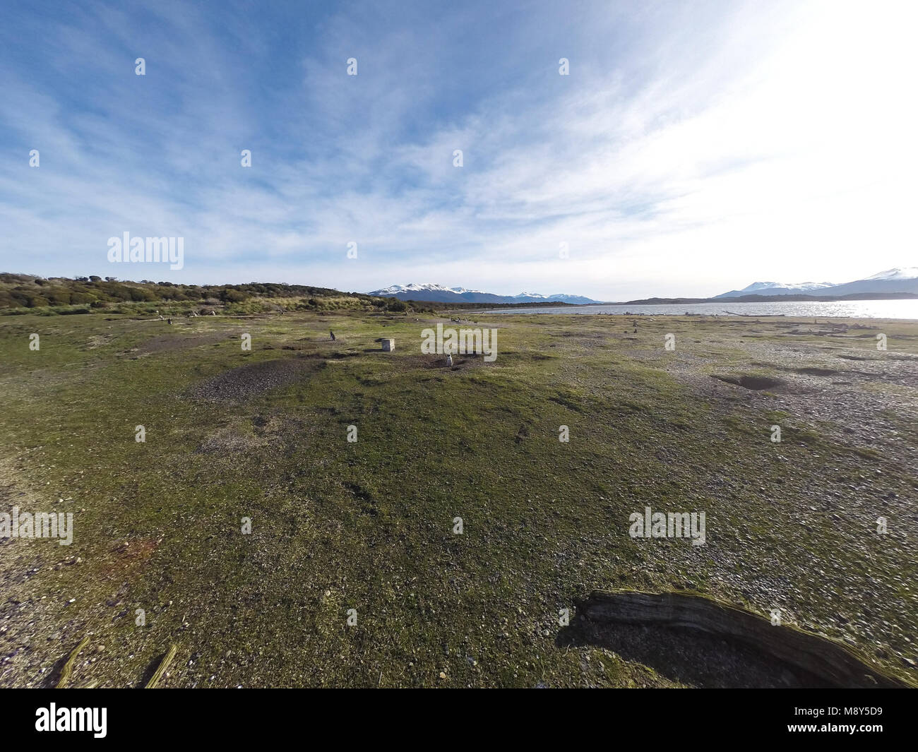 Isla martillo Banque de photographies et d’images à haute résolution ...