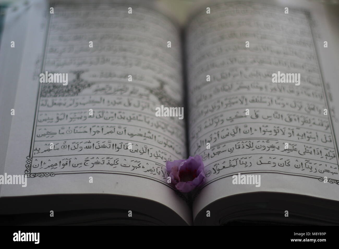 Saint coran Banque de photographies et d’images à haute résolution - Alamy