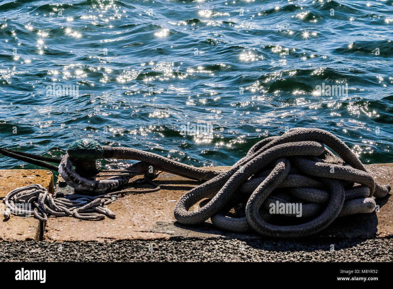 El mopo di venezia Banque de photographies et d’images à haute ...