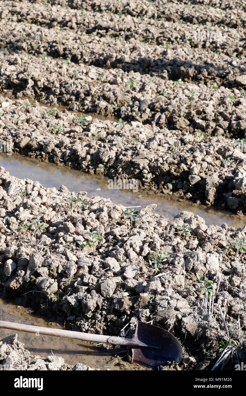 La vie rurale Banque de photographies et d’images à haute résolution ...