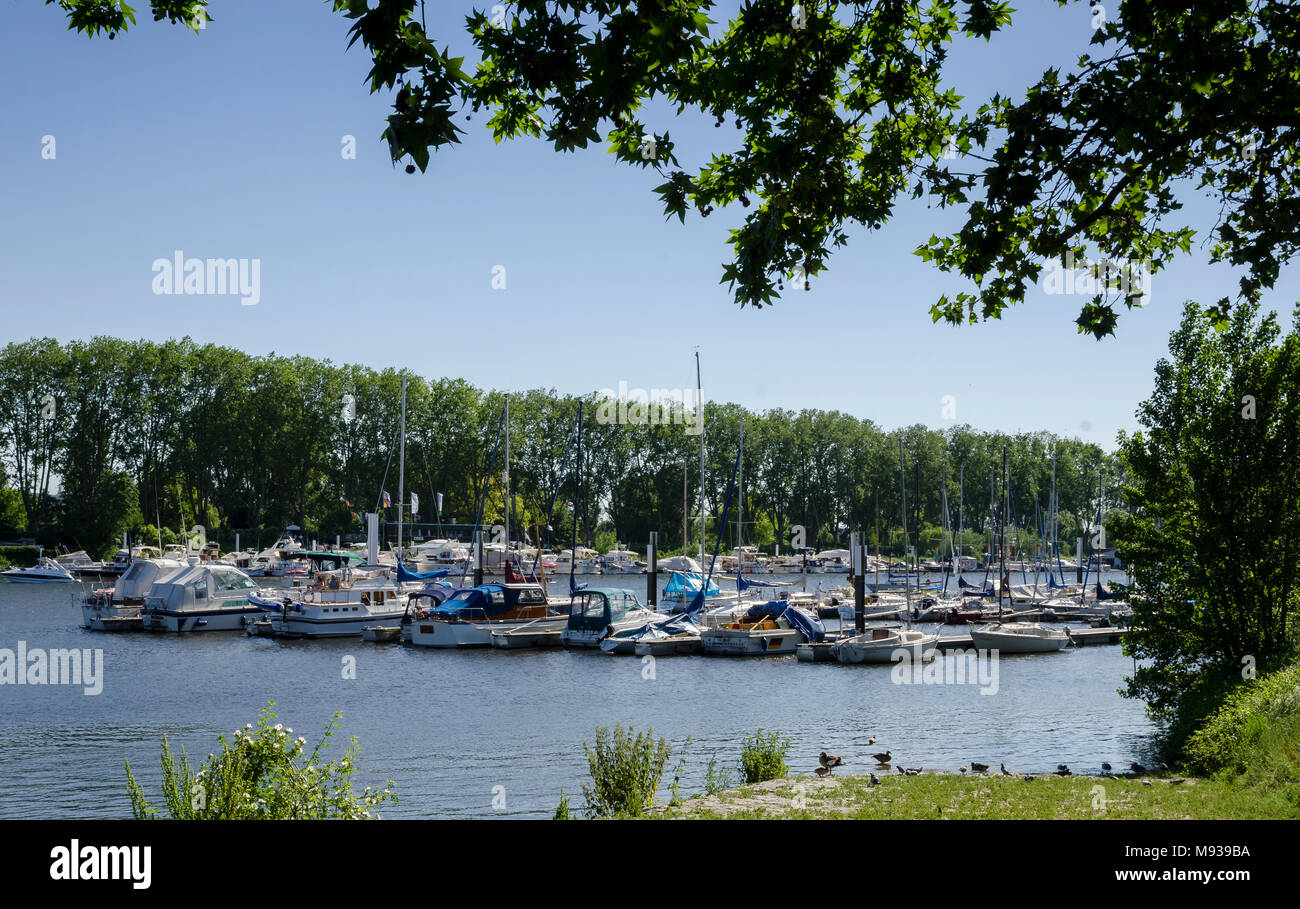 Schiersteiner hafen Banque de photographies et d’images à haute ...