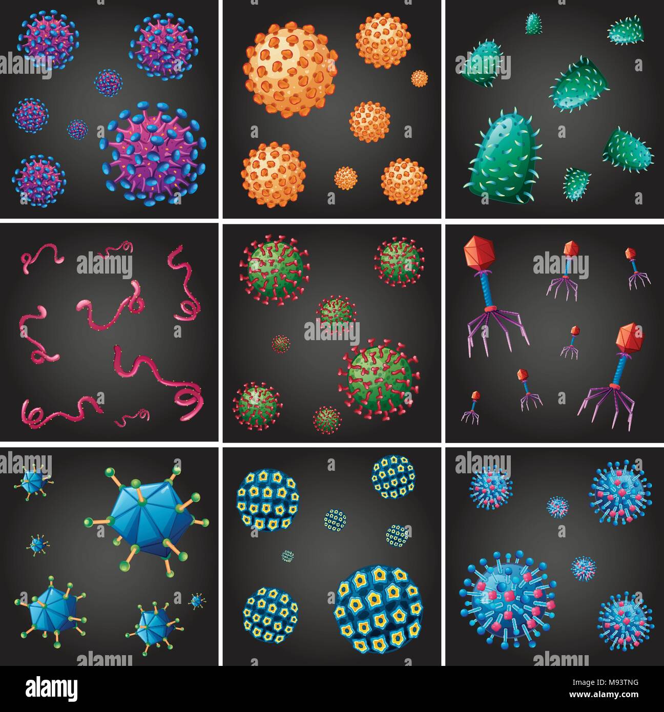 Différents types de virus illustration Image Vectorielle Stock - Alamy