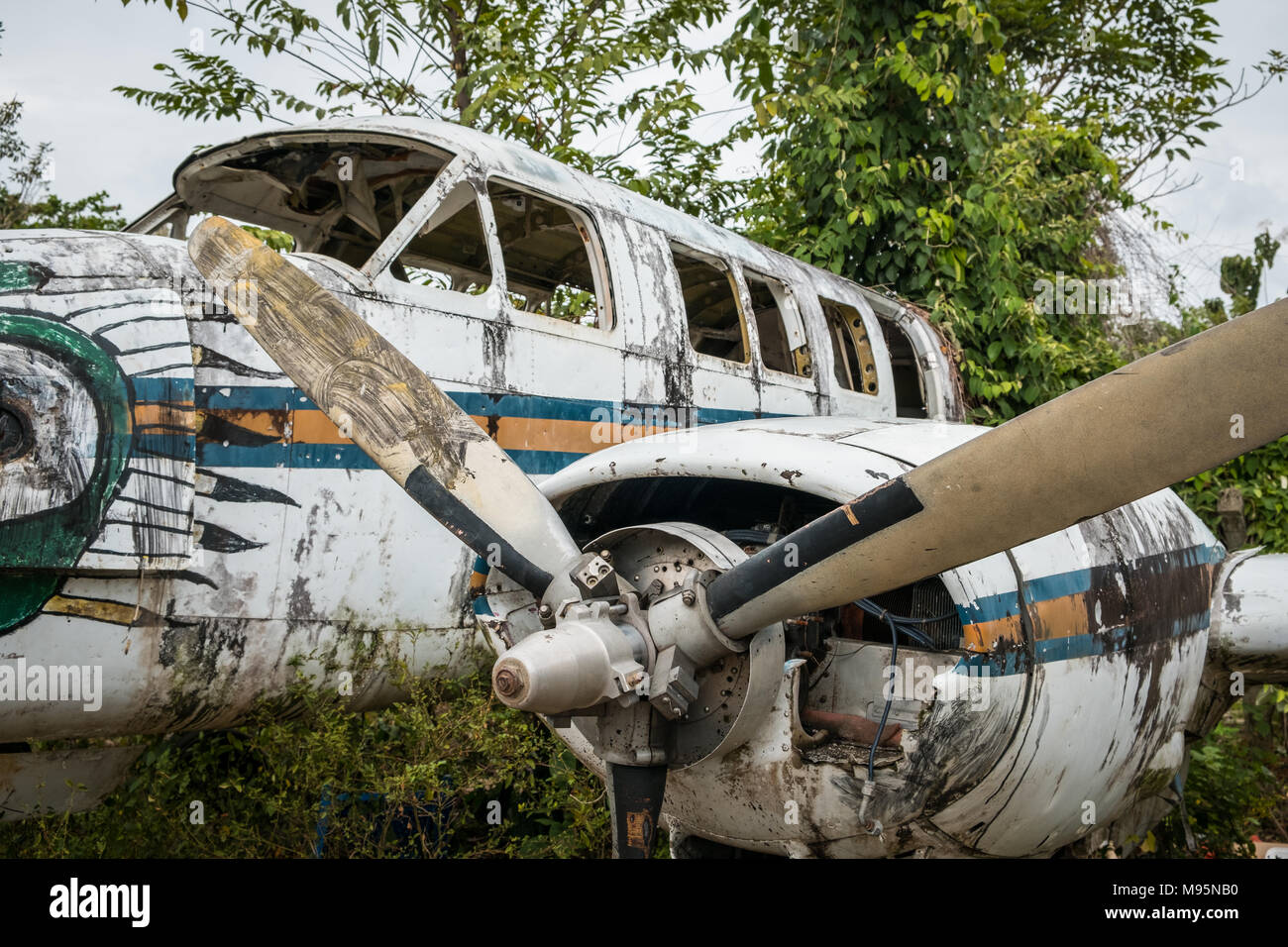 Épave de l'avion dans la jungle - vieux aéronefs à hélice - forêt Photo ...
