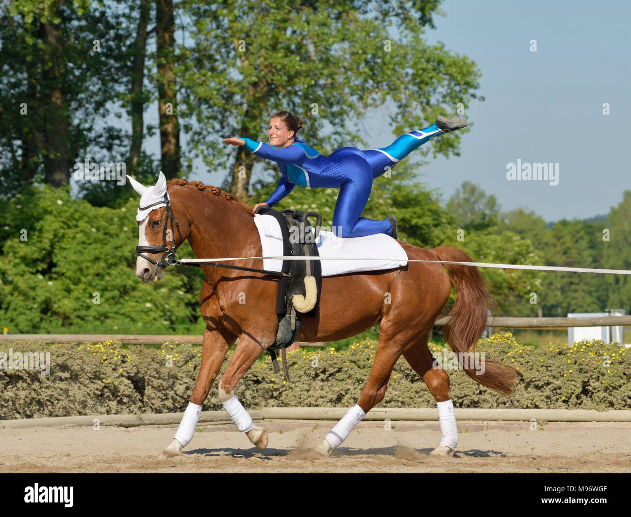Equestrian vaulting Banque de photographies et d’images à haute ...