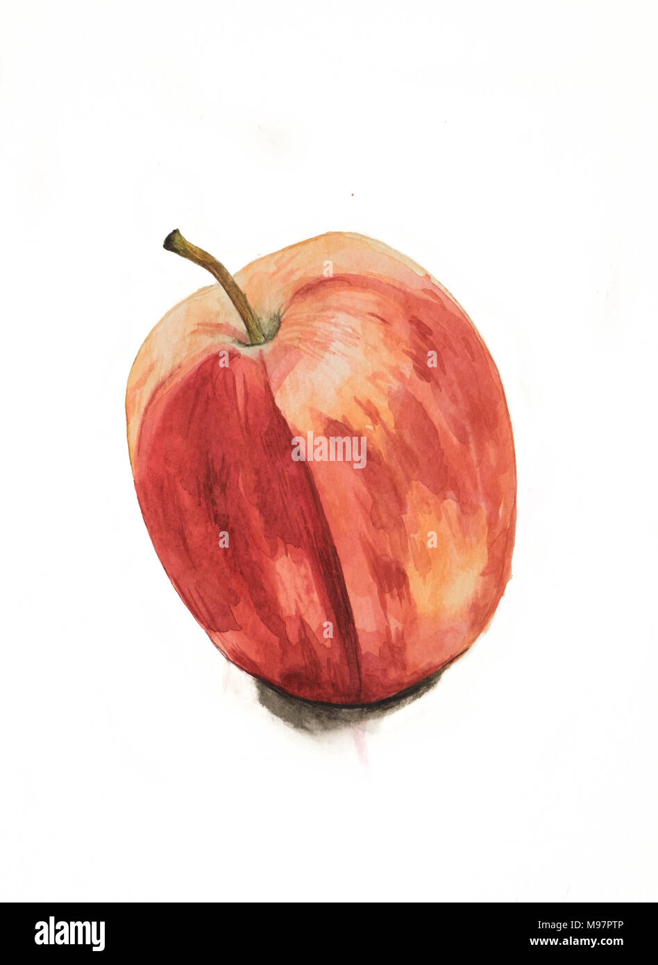 Aquarelles de fruits Banque de photographies et d’images à haute ...