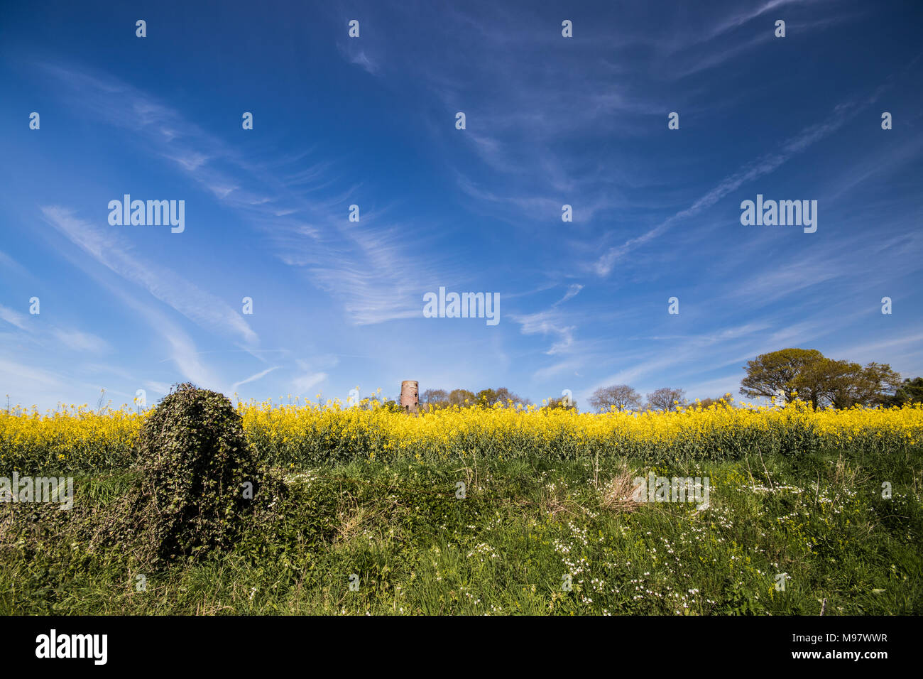 Vue paysage à travers les champs de colza près de la tour, près de ...