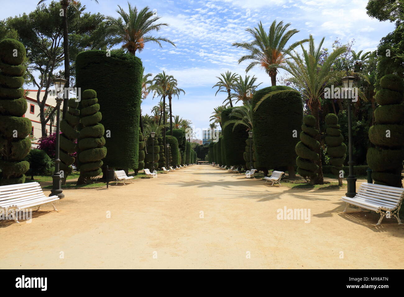 Cadiz garden parque genoves Banque de photographies et d’images à haute ...