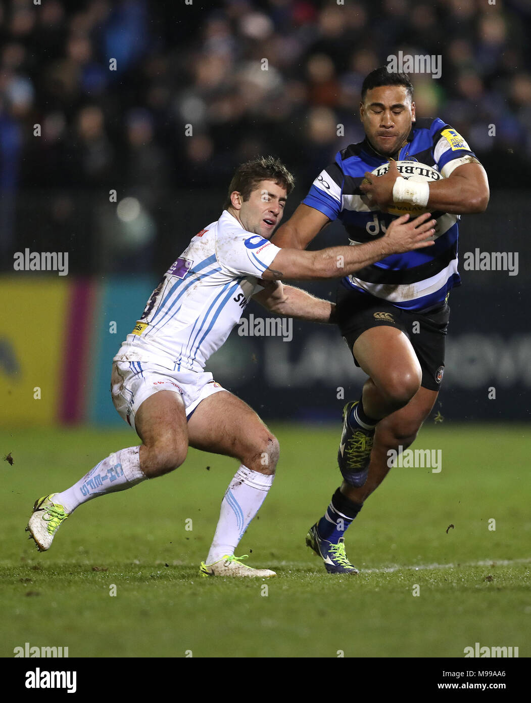 Cooper vuna Banque de photographies et d’images à haute résolution - Alamy