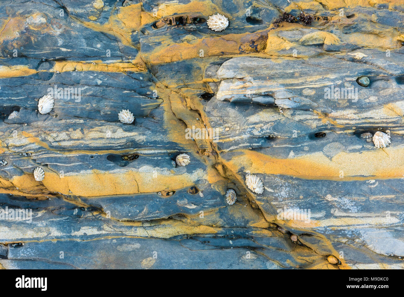 Point de balane Banque de photographies et d’images à haute résolution ...