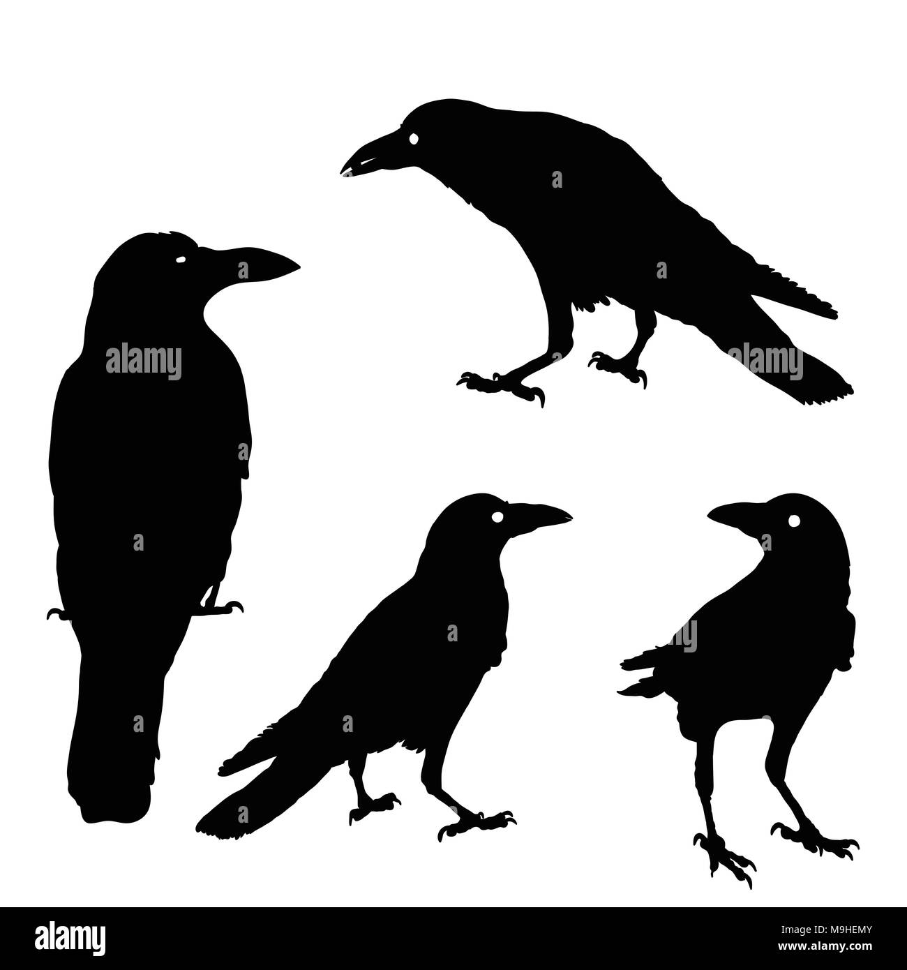 Silhouette De Troupeau De Corbeaux