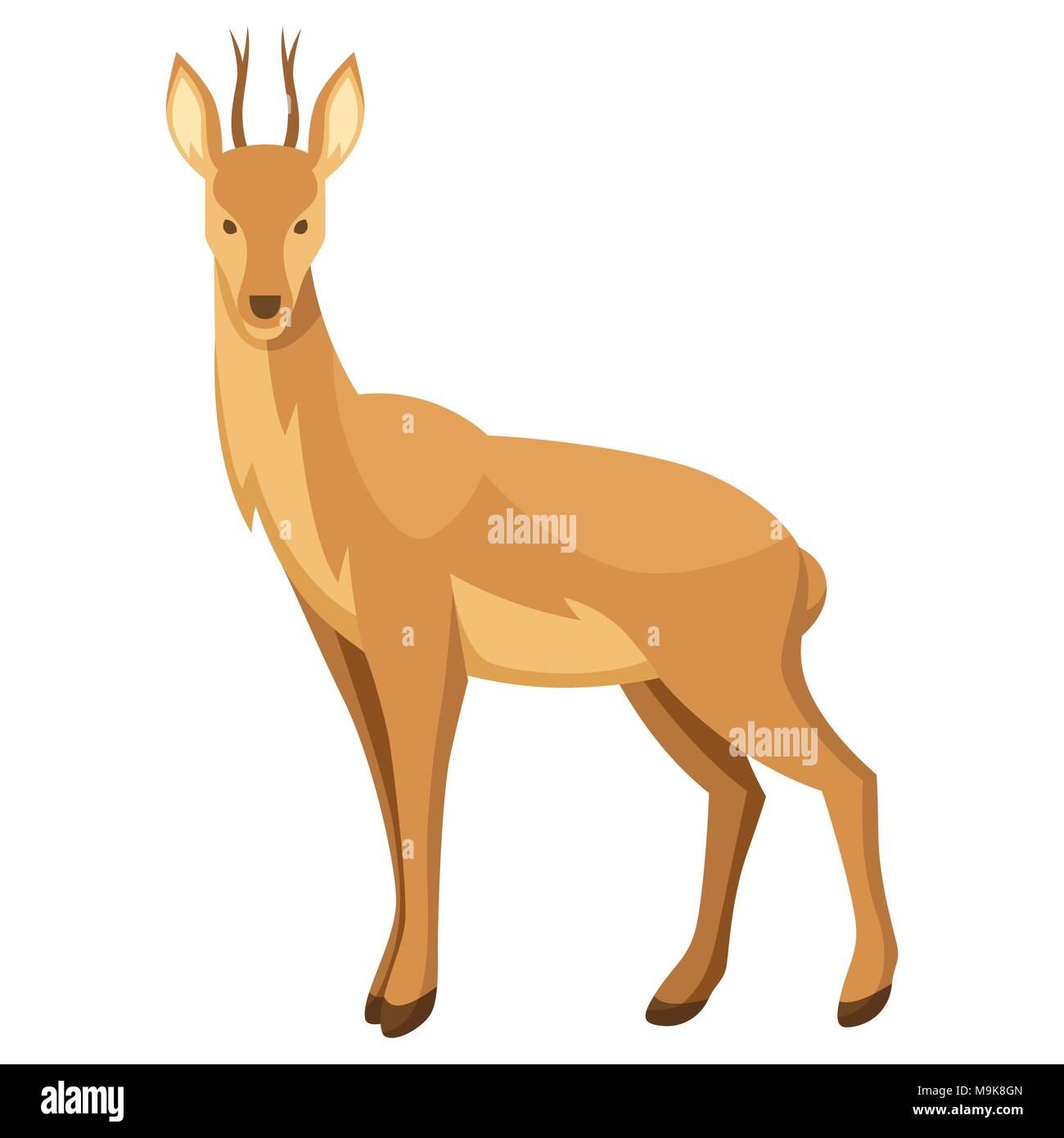 Illustration stylisée de chevreuils. Woodland forest animal sur fond ...