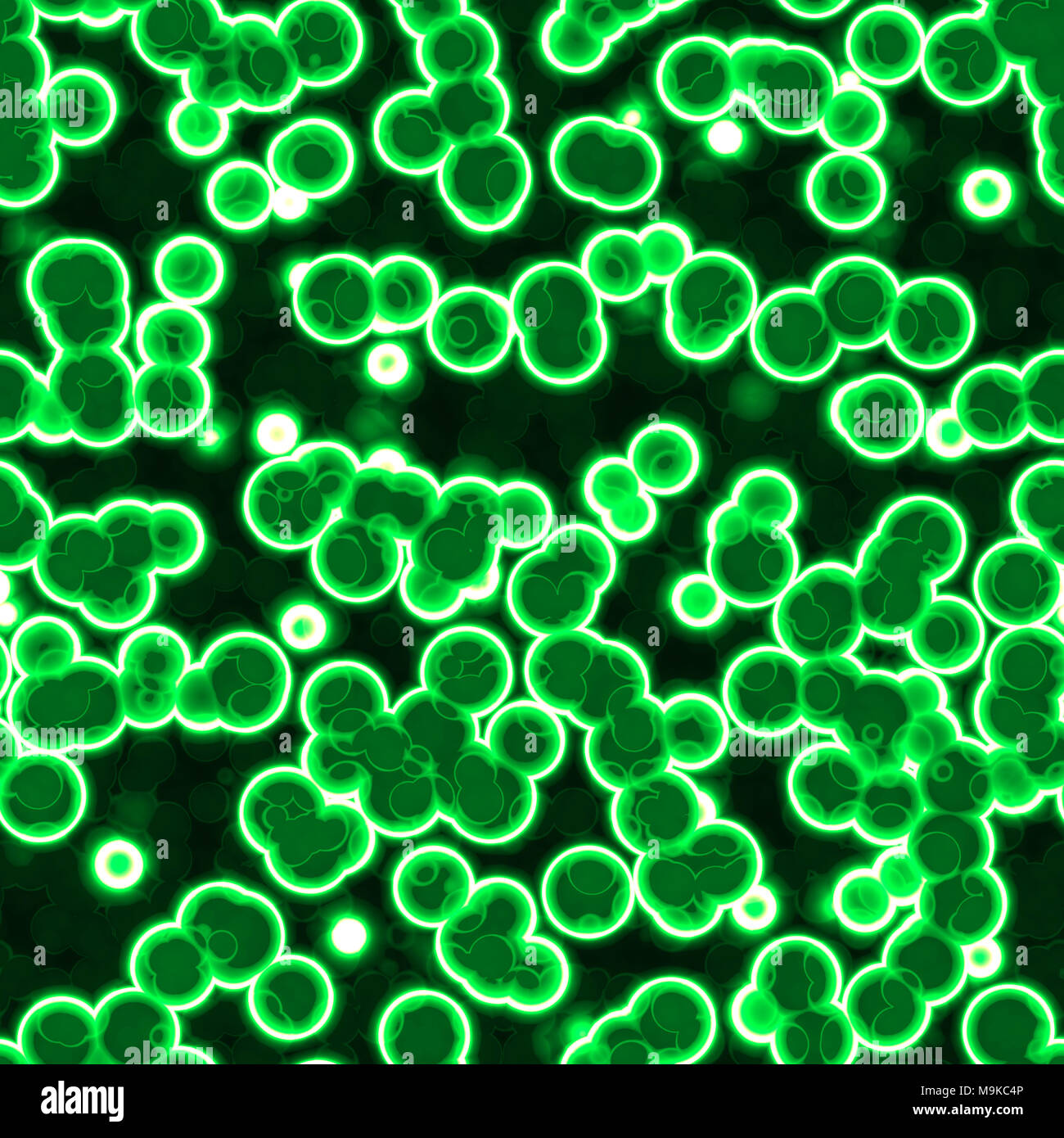 Cellule, petite structure de chaque organisme vivant, sont en mesure de ...