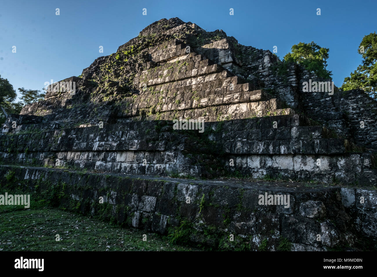 Les ruines antiques de la Mayan site archéologique de Yaxha, Guatemala ...