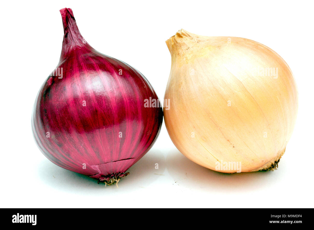 Oignons bruns Banque d'images détourées - Alamy