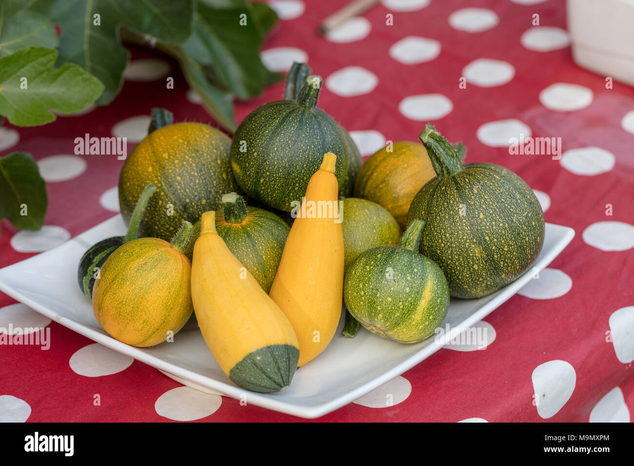 Prydnadspumpa grupp Banque de photographies et d’images à haute ...