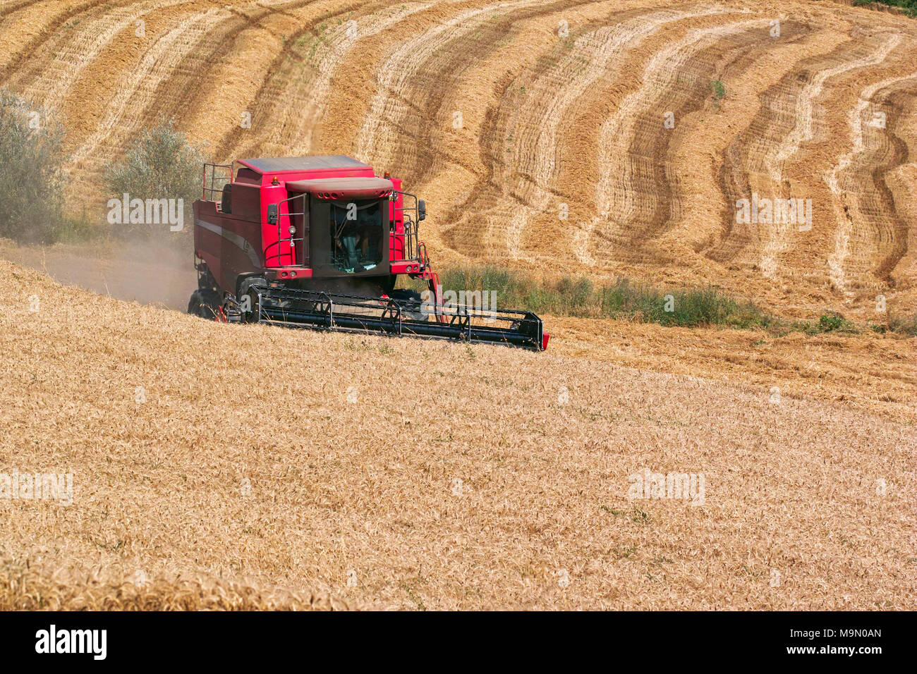 Batteuse Batteuse Banque d'image et photos - Alamy