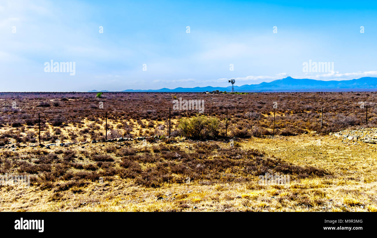 Semi arid land Banque de photographies et d’images à haute résolution ...