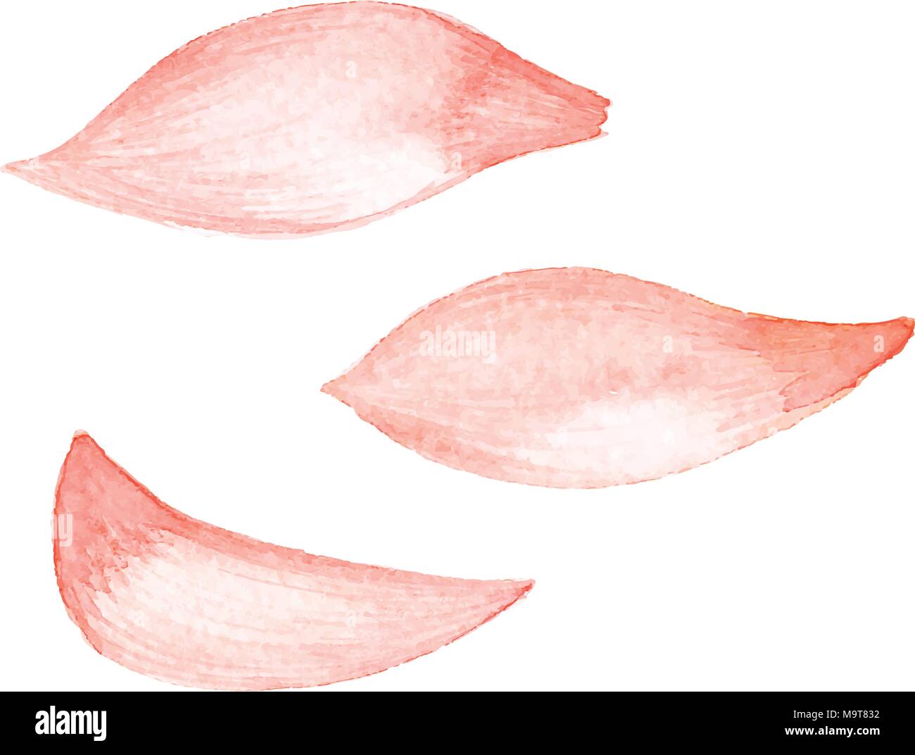 Fleur graden Banque d'images vectorielles - Alamy