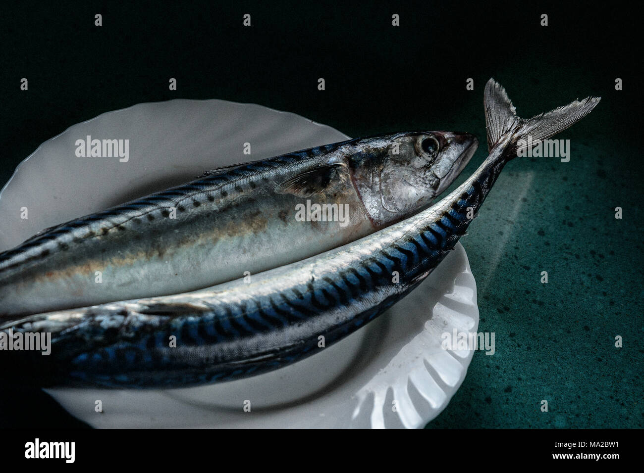 Motif de maquereau Banque de photographies et d’images à haute ...
