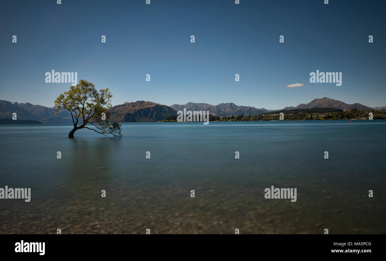 Plage du lac wanaka Banque d'image et photos - Alamy
